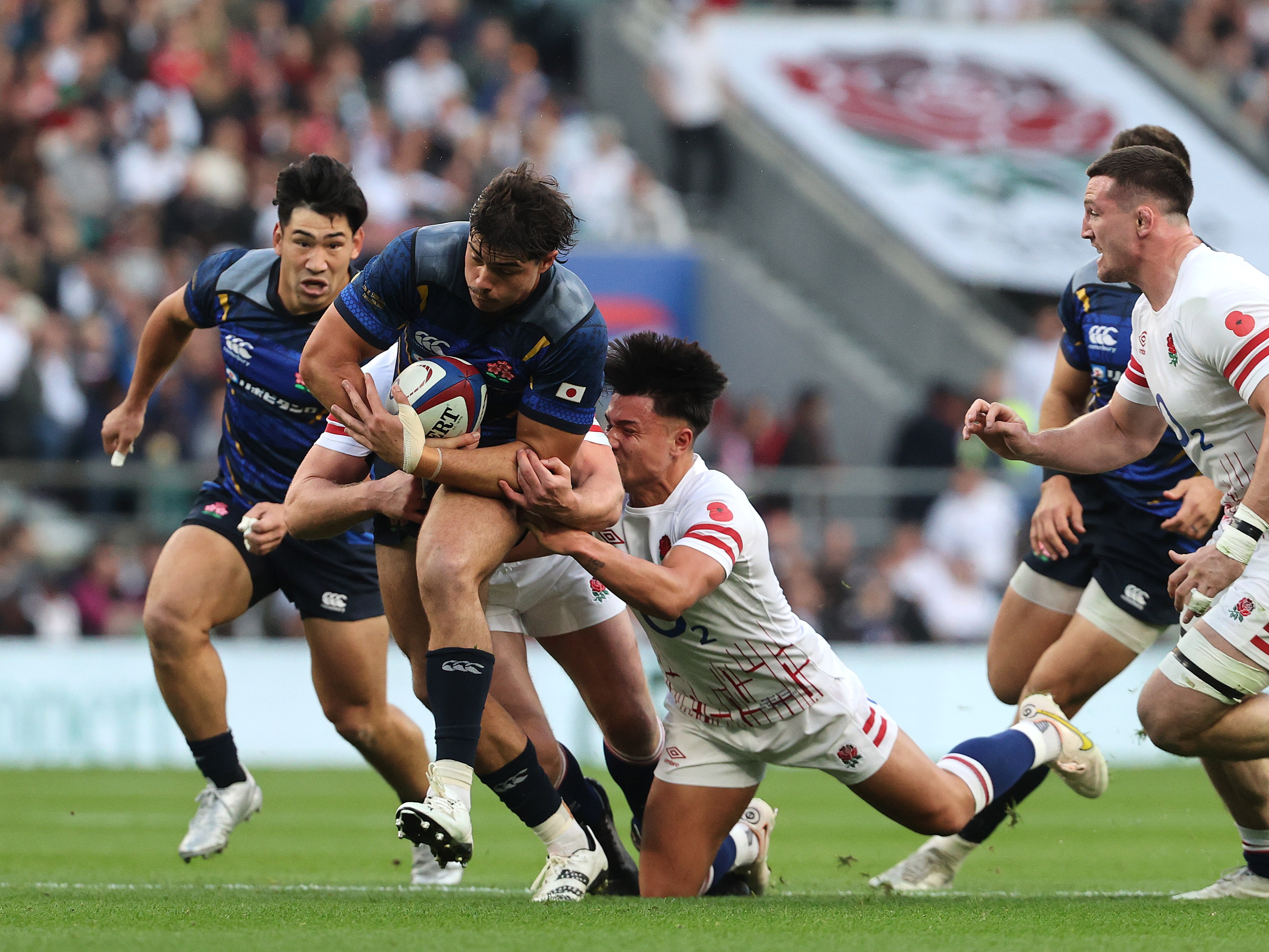 Riley wants emphatic finish against England | Rugby | Autumn - undefined